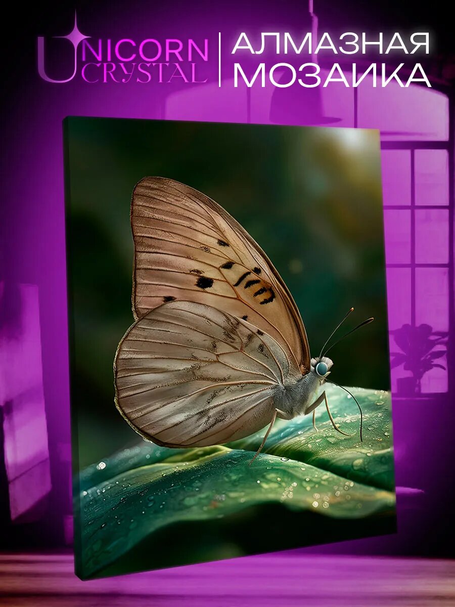 Алмазная мозаика Бабочка