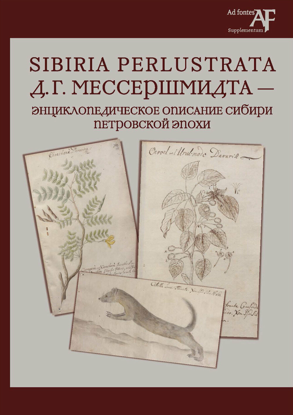 Sibiria Perlustrata Д. Г. Мессершмидта - энциклопедическое описание Сибири Петровской эпохи / Нонфикшн
