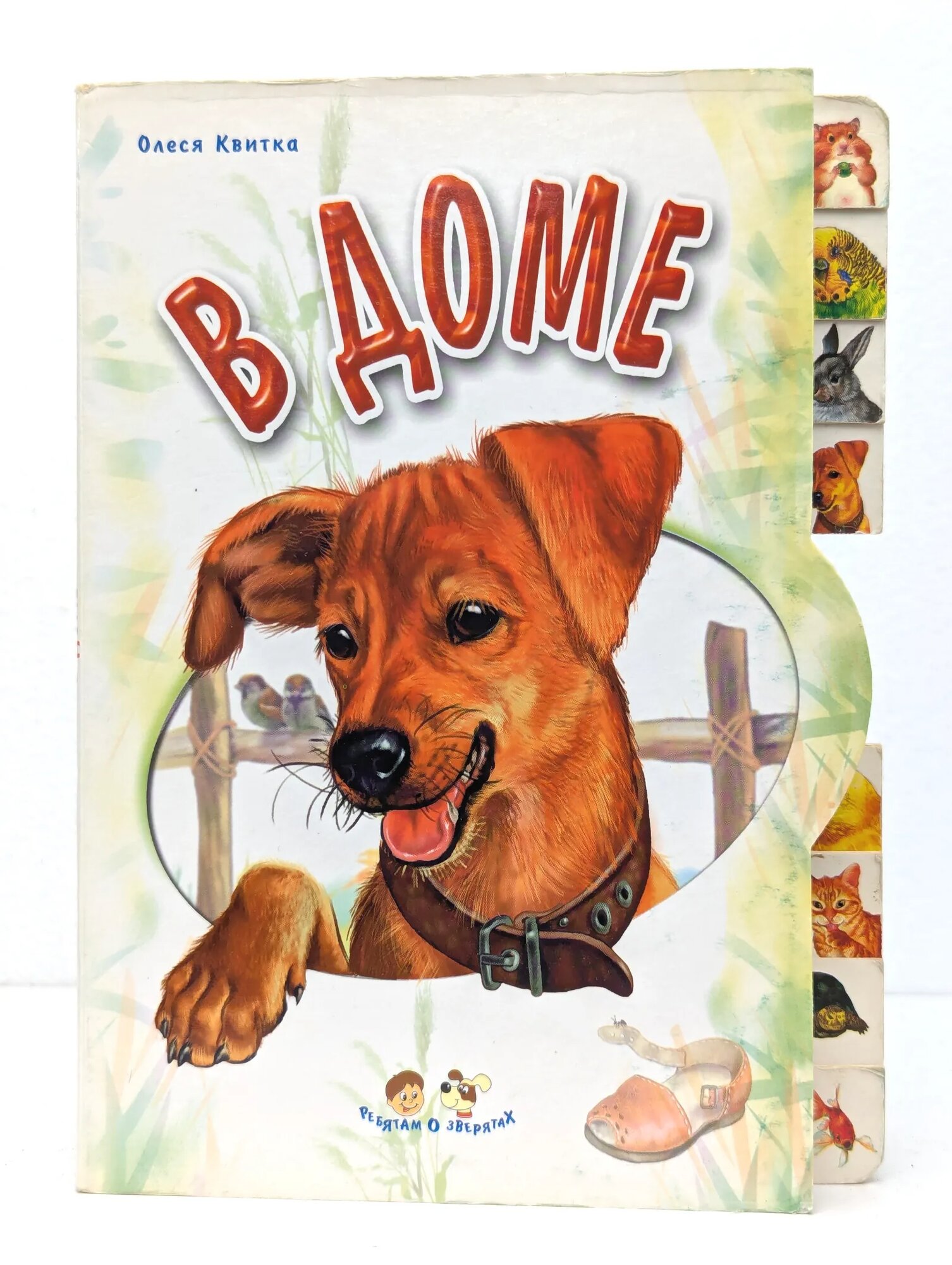 В доме Квитка Олеся 2006