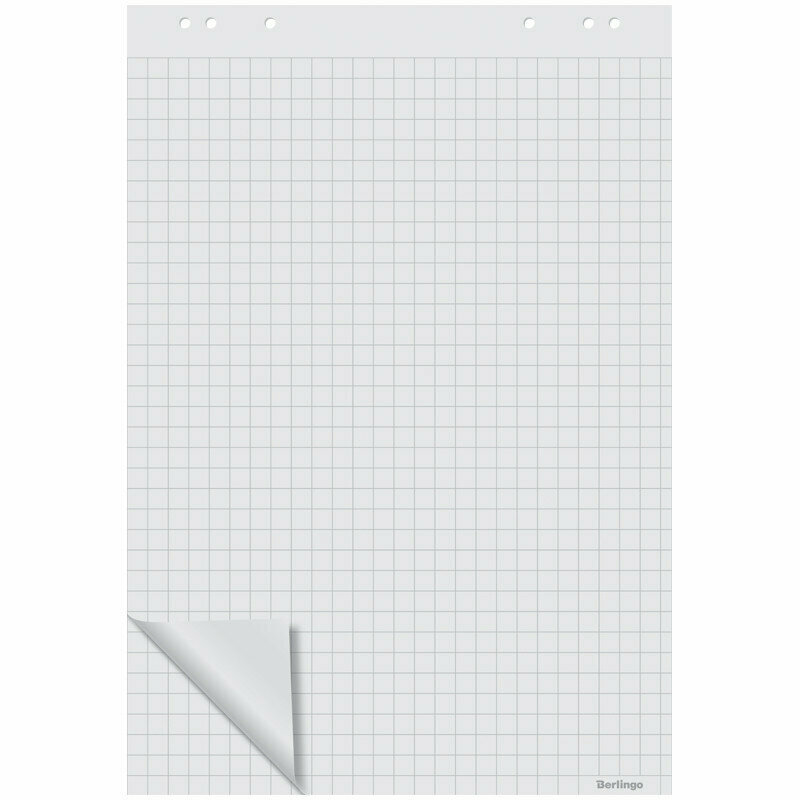 Блокнот для флипчарта Berlingo 64*96см, 20л, клетка, 5 штук, 262543