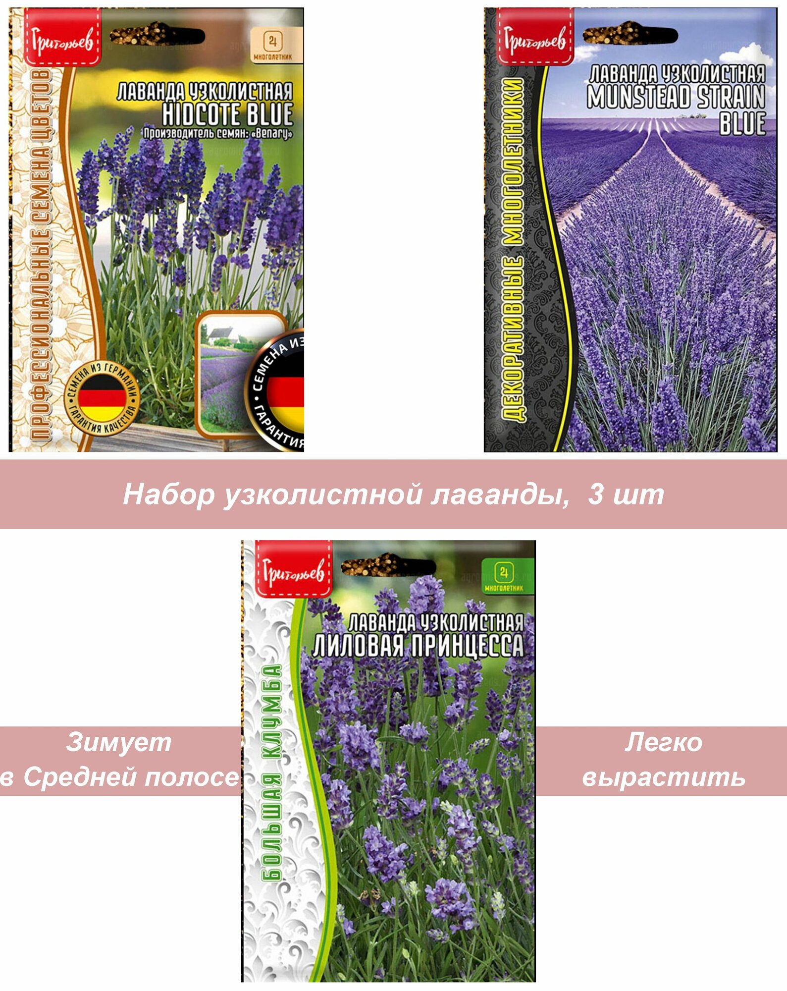 Семена многолетних цветов Лаванда