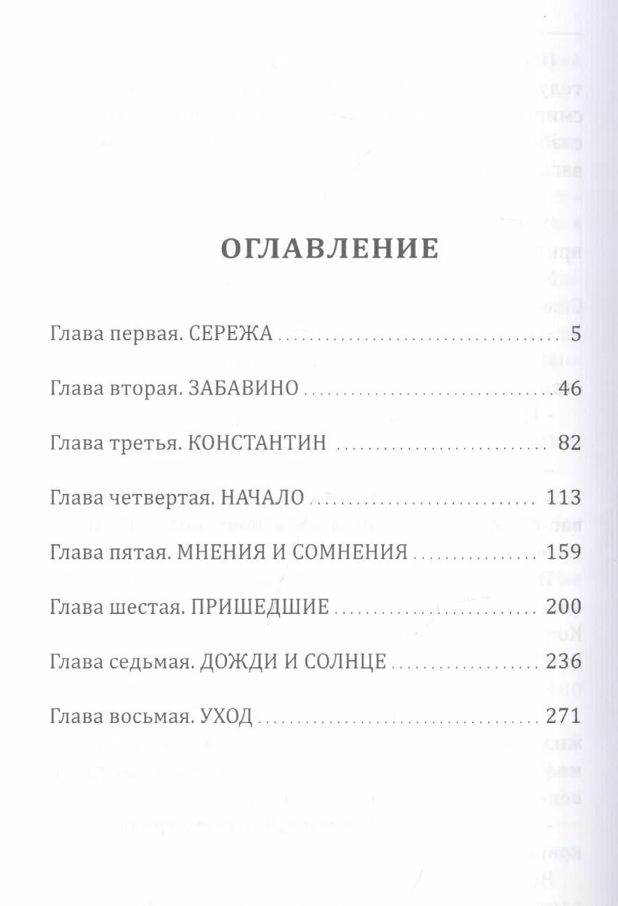 Соль неба. Роман-притча
