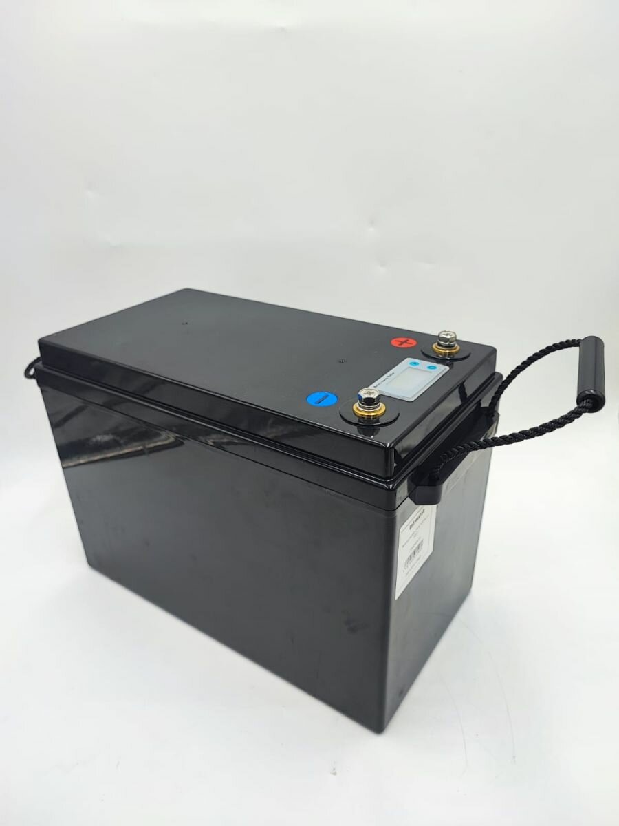 Аккумулятор 24 в 100 ач (Li -lion )