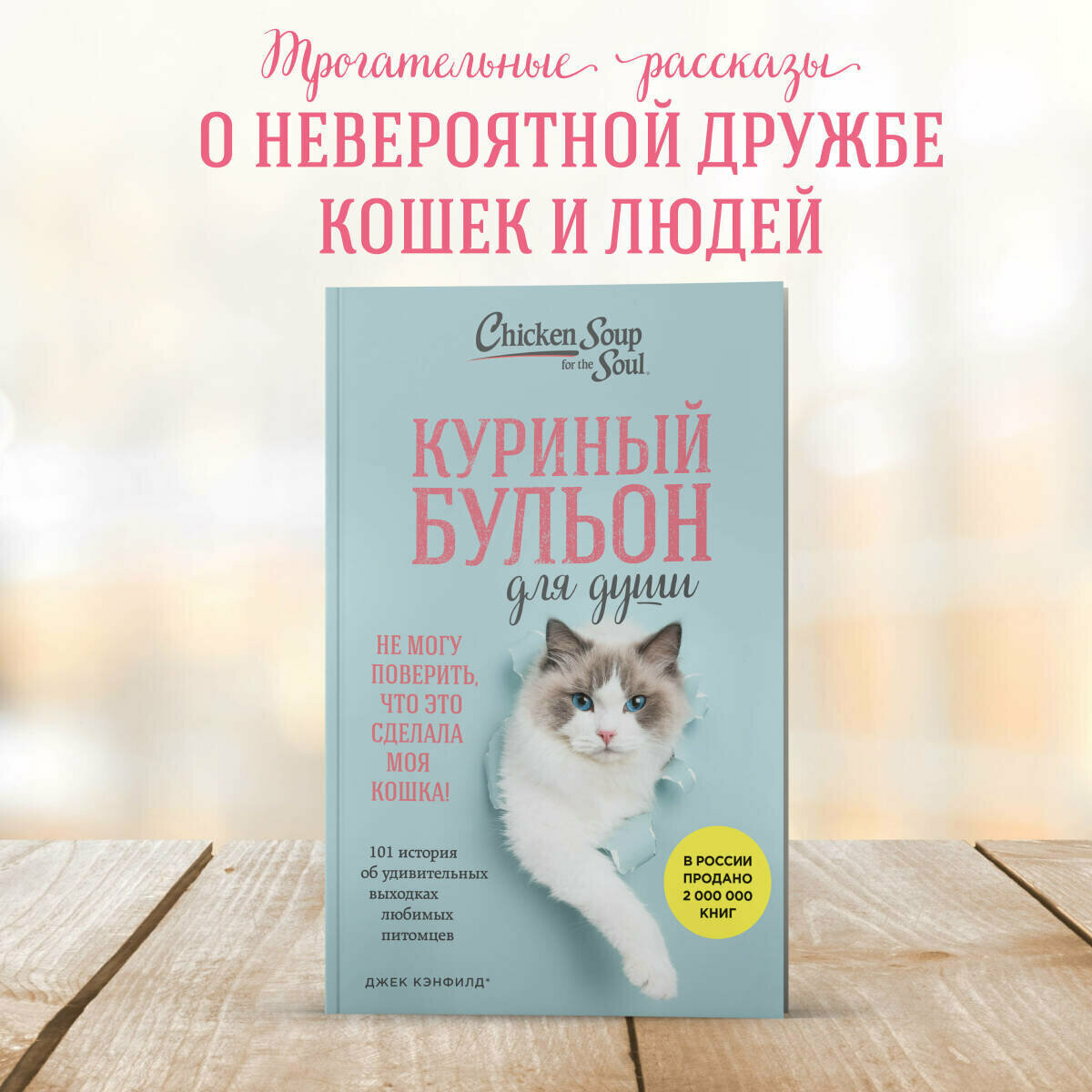 Кэнфилд Д, Хансен М. В, Кваша Д. Куриный бульон для души. Не могу поверить, что это сделала моя кошка! 101 история об удивительных выходках любимых