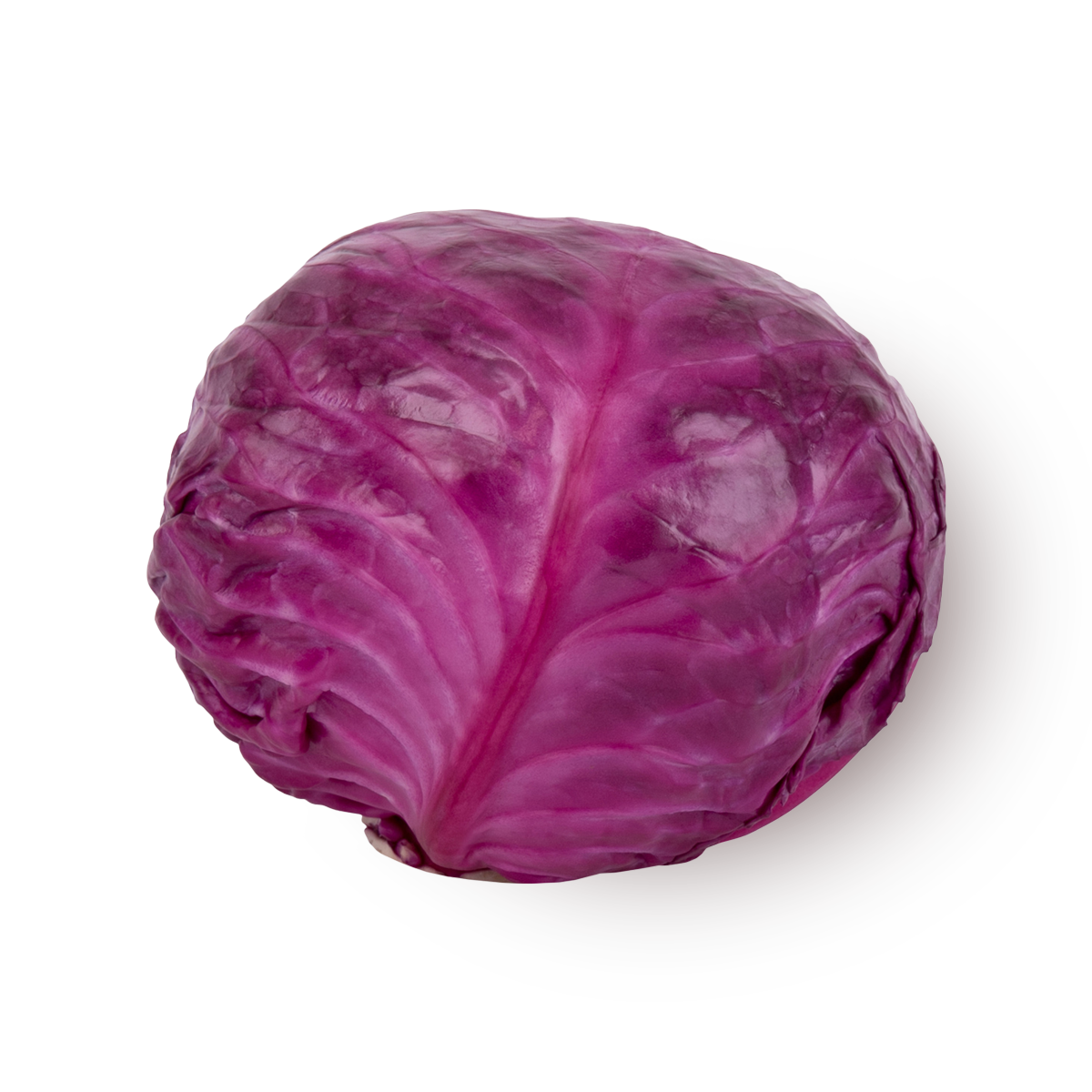 Капуста краснокочанная, вилок, 1 упаковка, от 0 °c до +25 °c