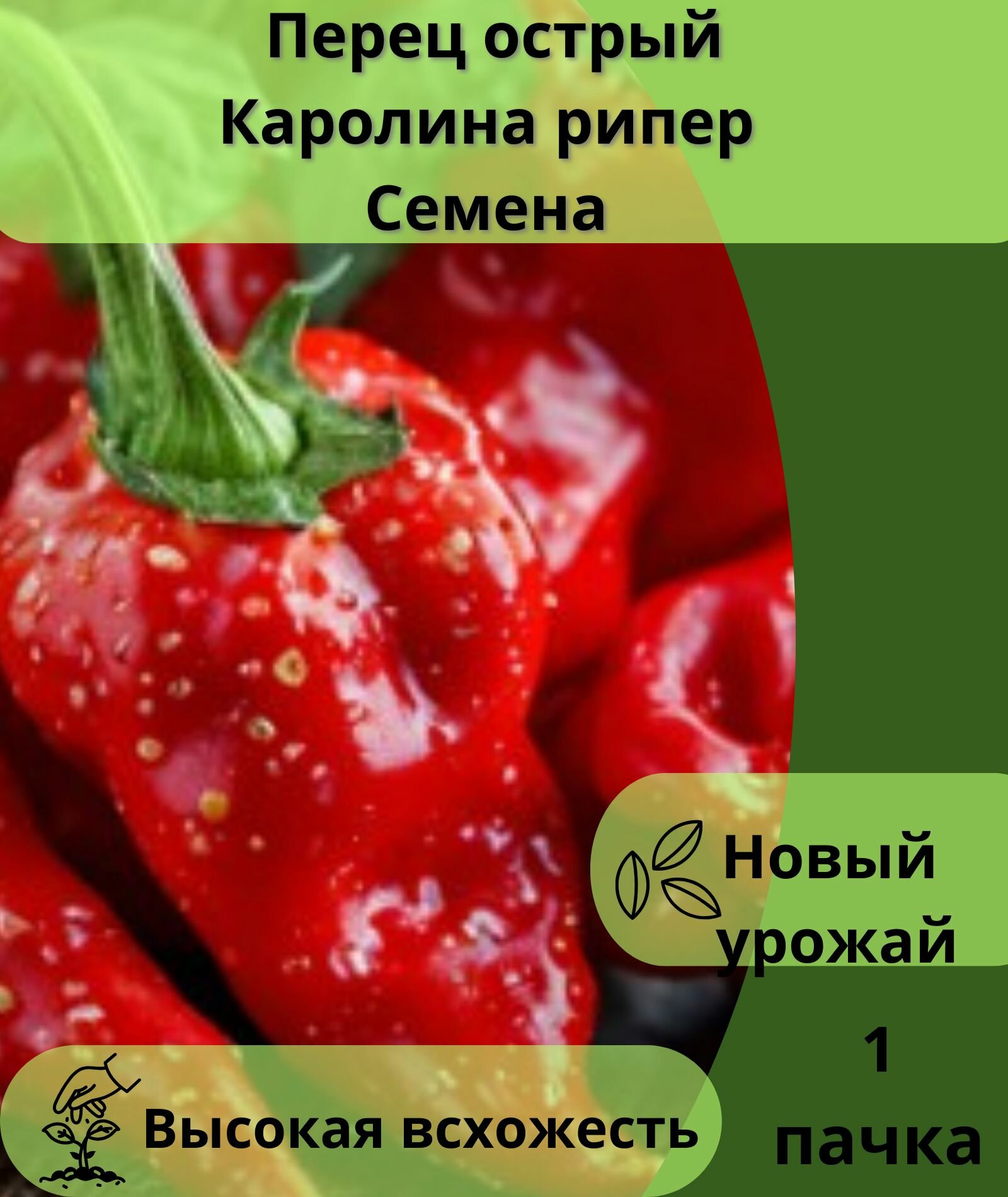 Перец острый Каролина рипер, коллекционные семена 10шт