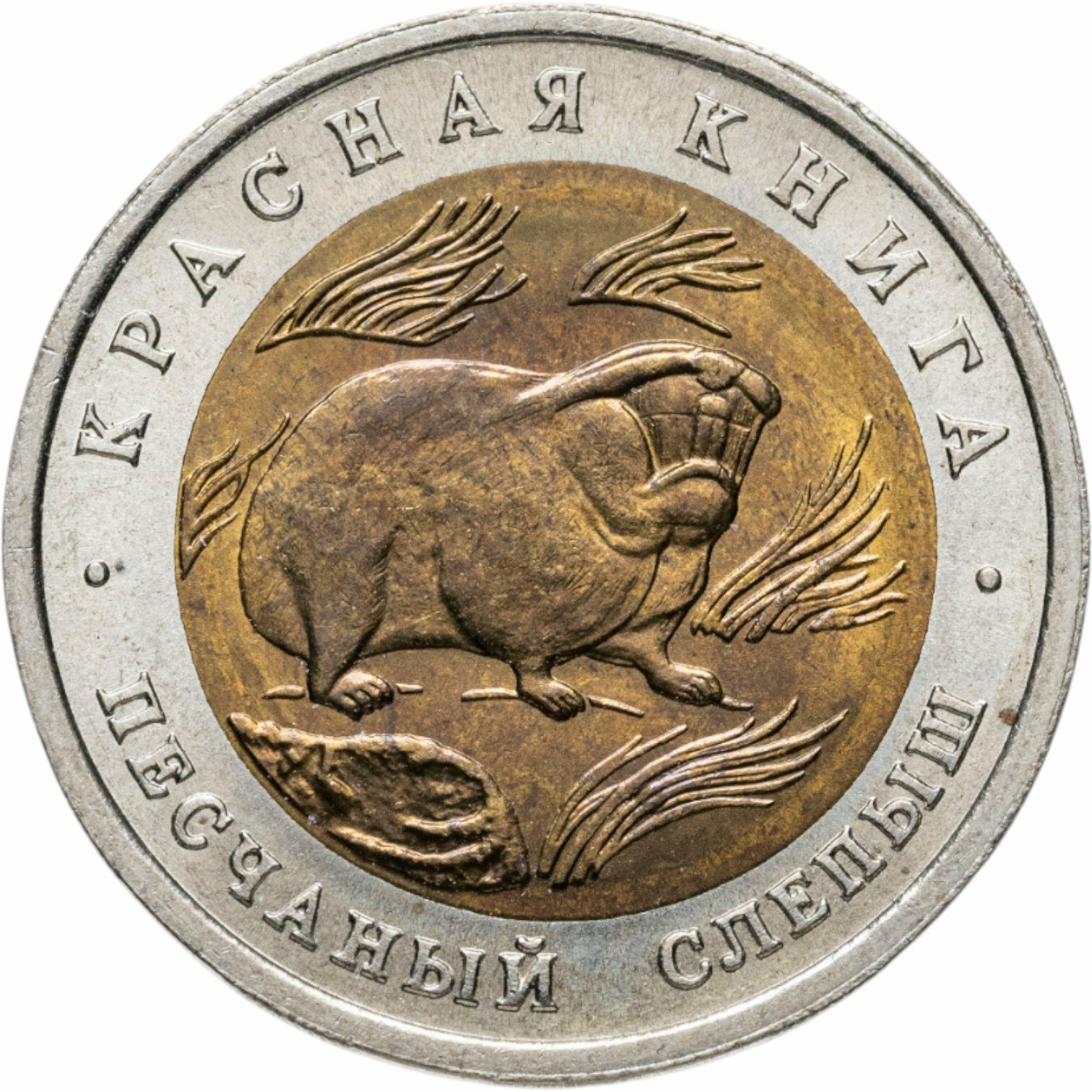 50 рублей 1994 ЛМД Песчаный Слепыш - Красная Книга, Биметалл, в сохранности AU-UNC