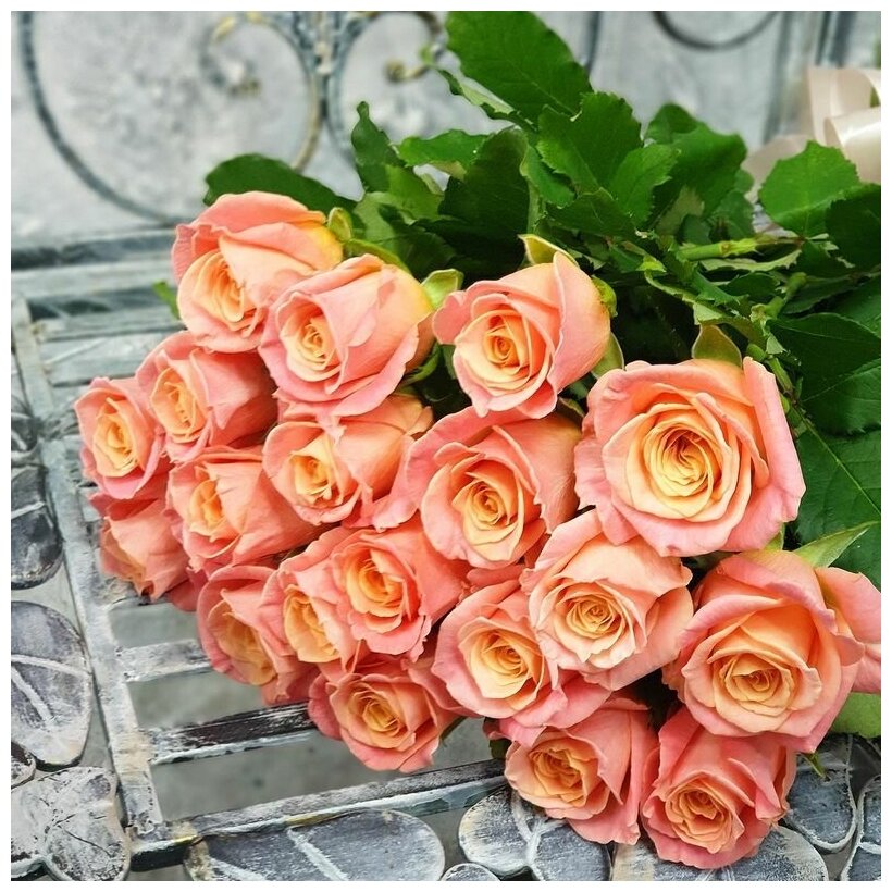 Монобукет Талисман Флора "Уверенность", роза Микс, 19 цветов, высота 55 см