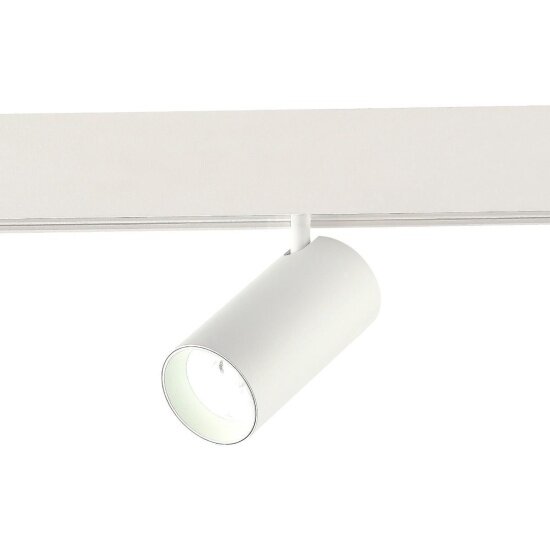 Трековый светодиодный светильник ST Luce SKYLINE 48 ST375.506.20