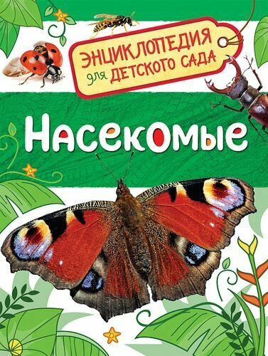 Насекомые (Энциклопедия для детского сада) (Клюшник Л. В.)