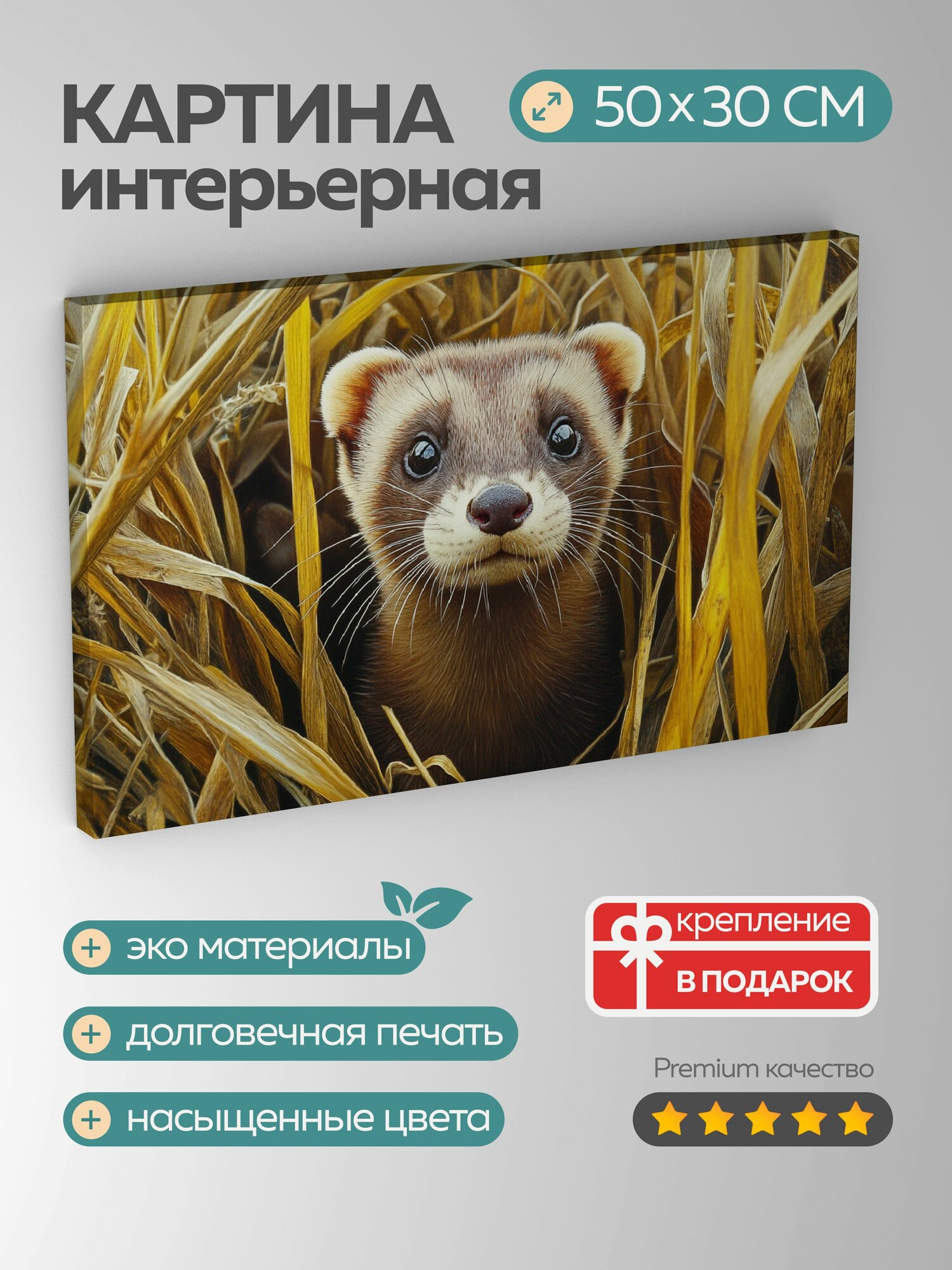 Картина на холсте интерьерная 50х30 см, хорёк, тростник, природа, любознательность, игривость, естественная среда