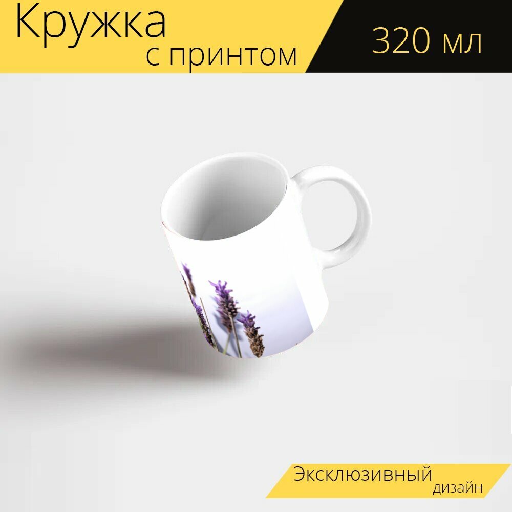 Кружка с рисунком, принтом "Фиолетовые цветы лаванды Фиолетовые цветы лаванды на белом фоне пурпурный лаванда цветы тень белый фон минимализм дизайн рука альбом." 320 мл.