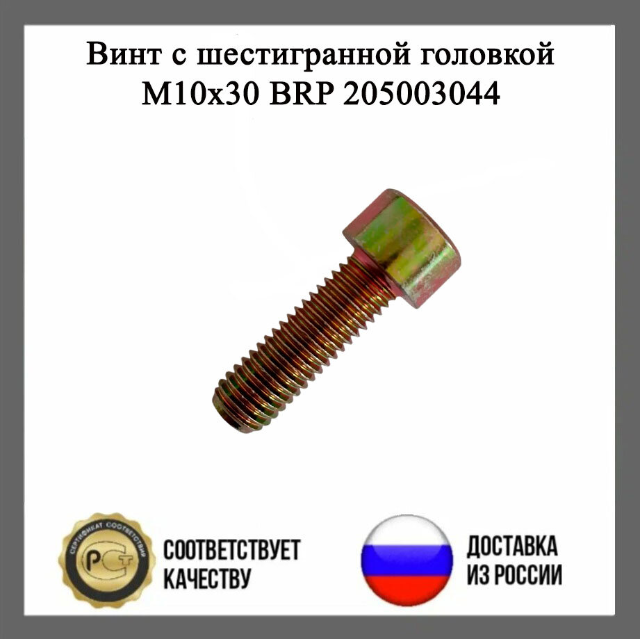 Винт с шестигранной головкой M10x30 BRP 205003044