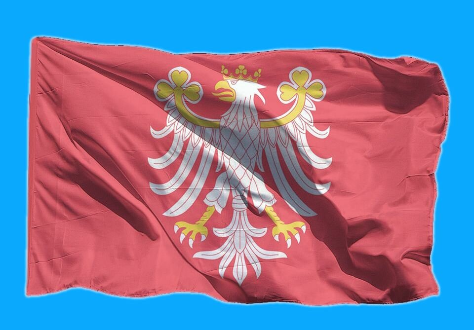 Флаг Королевства Редания из Ведьмака 90х135 см на шёлке для ручного древка