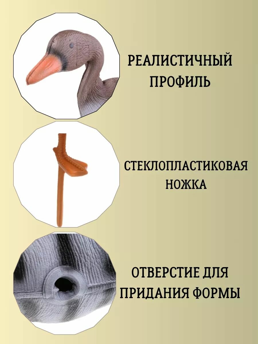 Приманка для охоты — фото 1