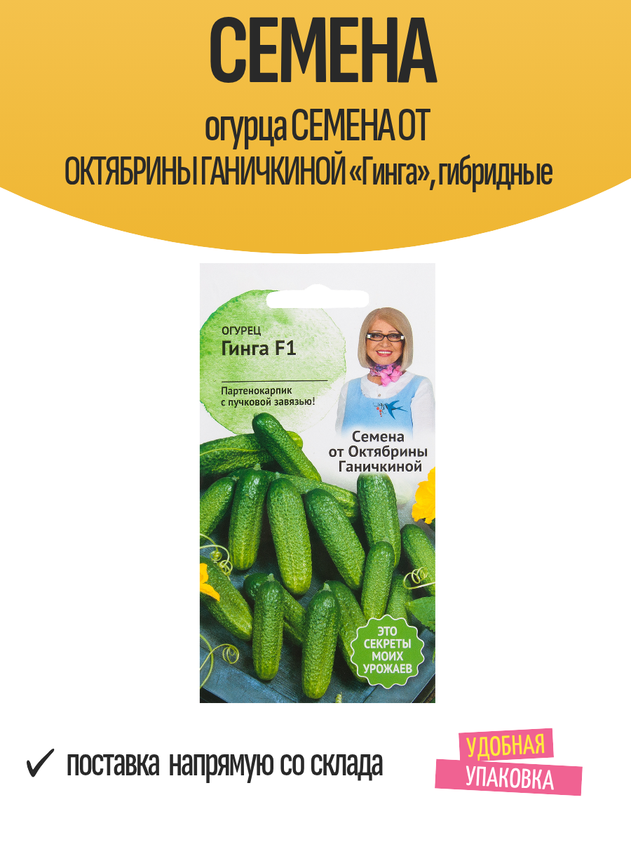 Семена огурца семена от октябрины ганичкиной «Гинга», гибридные