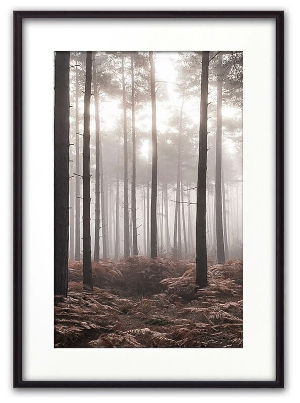 Постер в рамке Туманный лес, 21х30 см