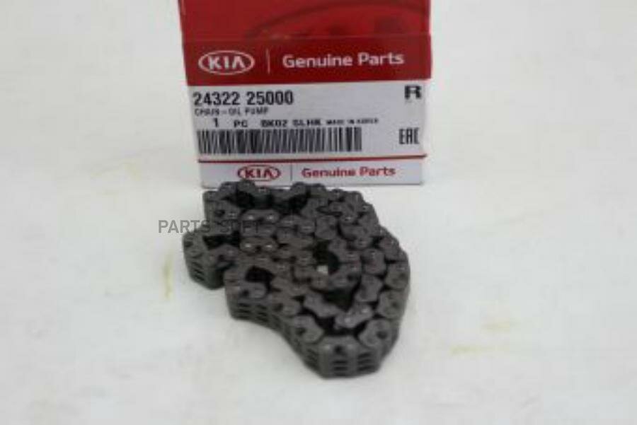 HYUNDAI-KIA 2432225000 Цепь привода ГРМ каренс
