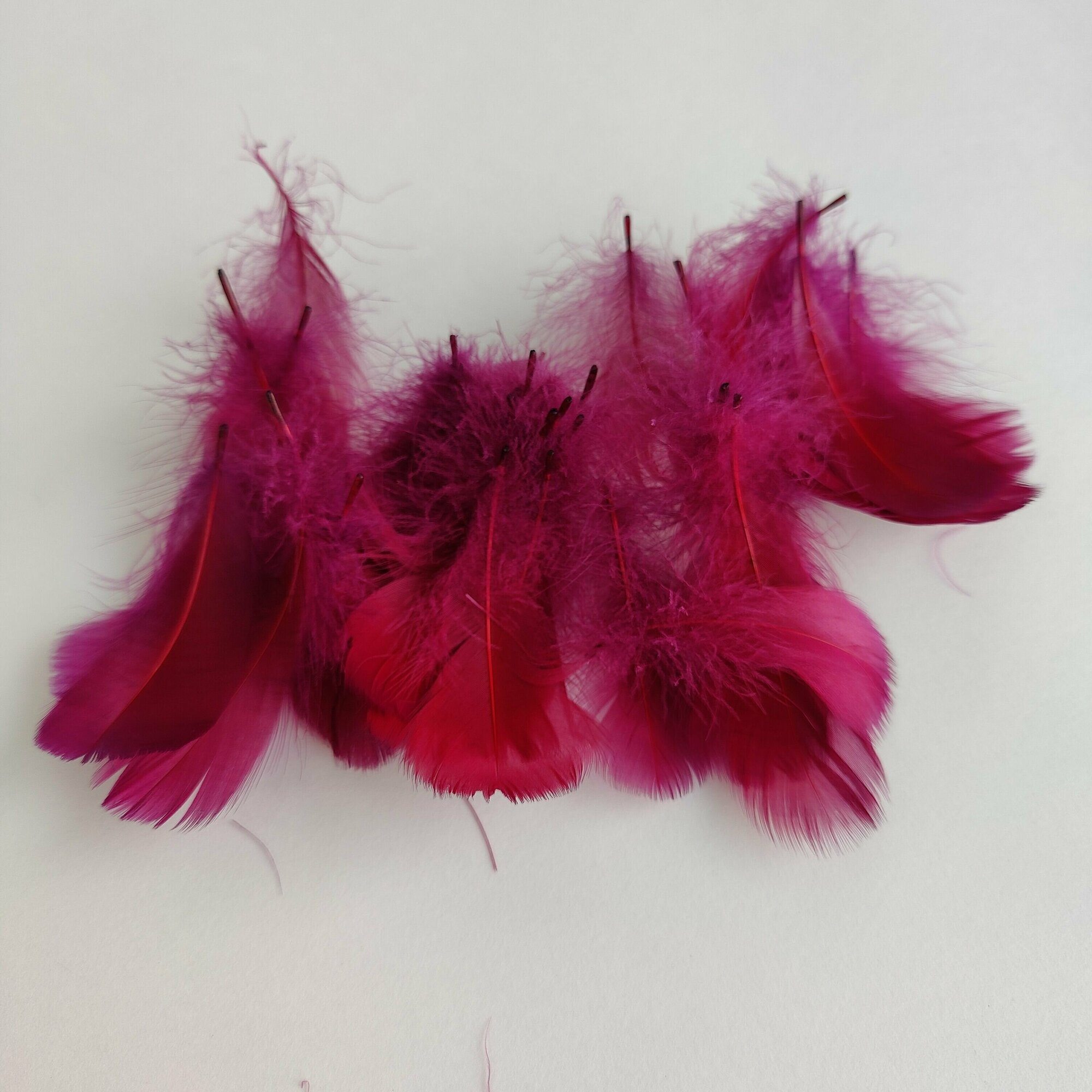 Перья декор винные №14, 100 штук