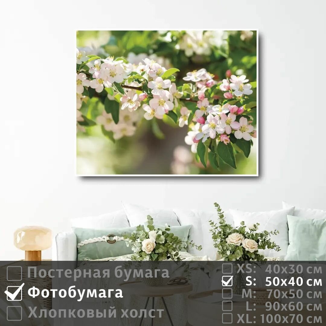 Постер на фотобумаге Весенняя Ветка Яблони 50х40 см ПолиЦентр