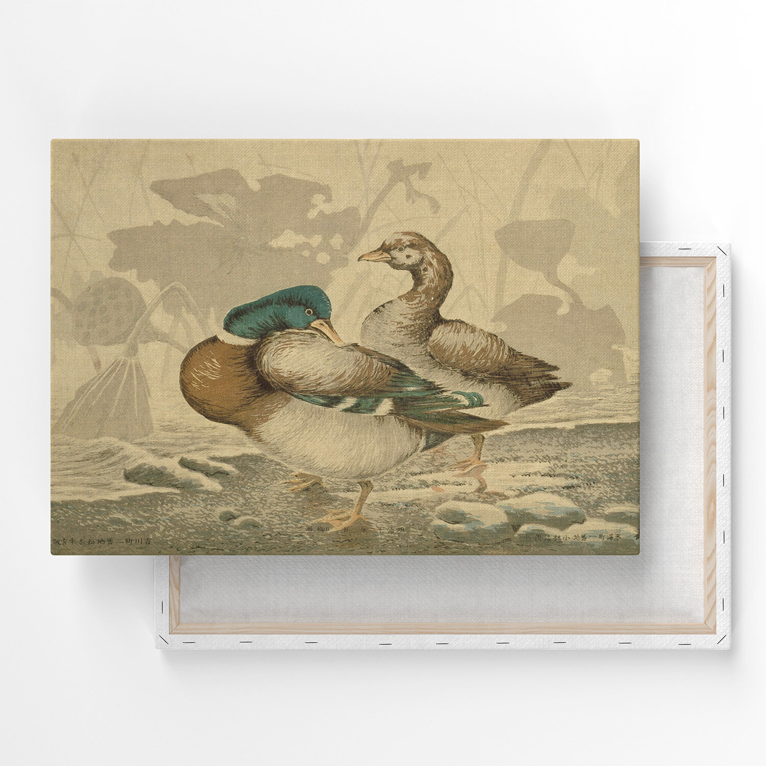 Картина на холсте, репродукция / Кобаяси Киётика - Ducks and Withered Lotus / Размер 30 x 40 см