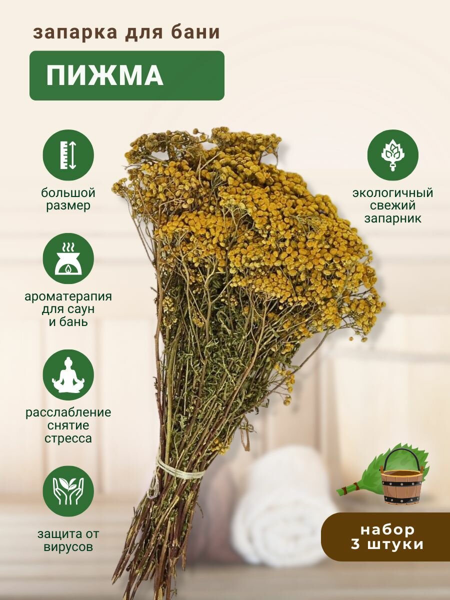 Запарка для бани Пижма, трава-запарник, сухоцвет, 3 шт.