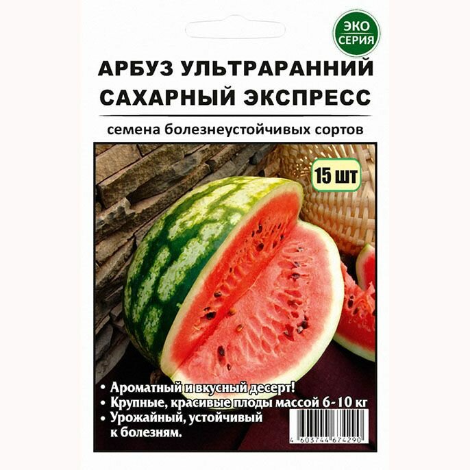 Арбуз Сахарный Экспресс ультраранний (1 уп: 15 семян)