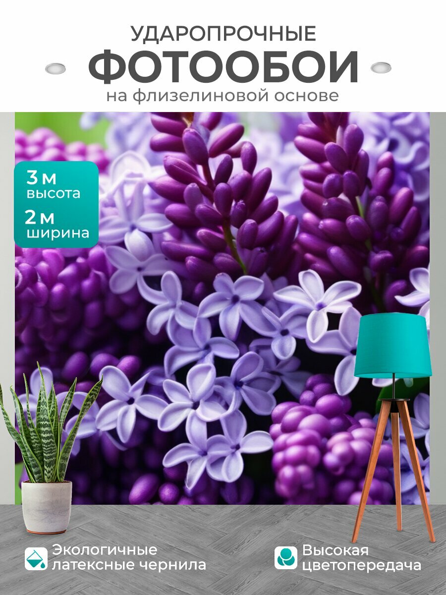Фотообои моющиеся ударопрочные "Фиолетовый букет с сиреневыми цветами" 300x300 см. флизелиновые на стену