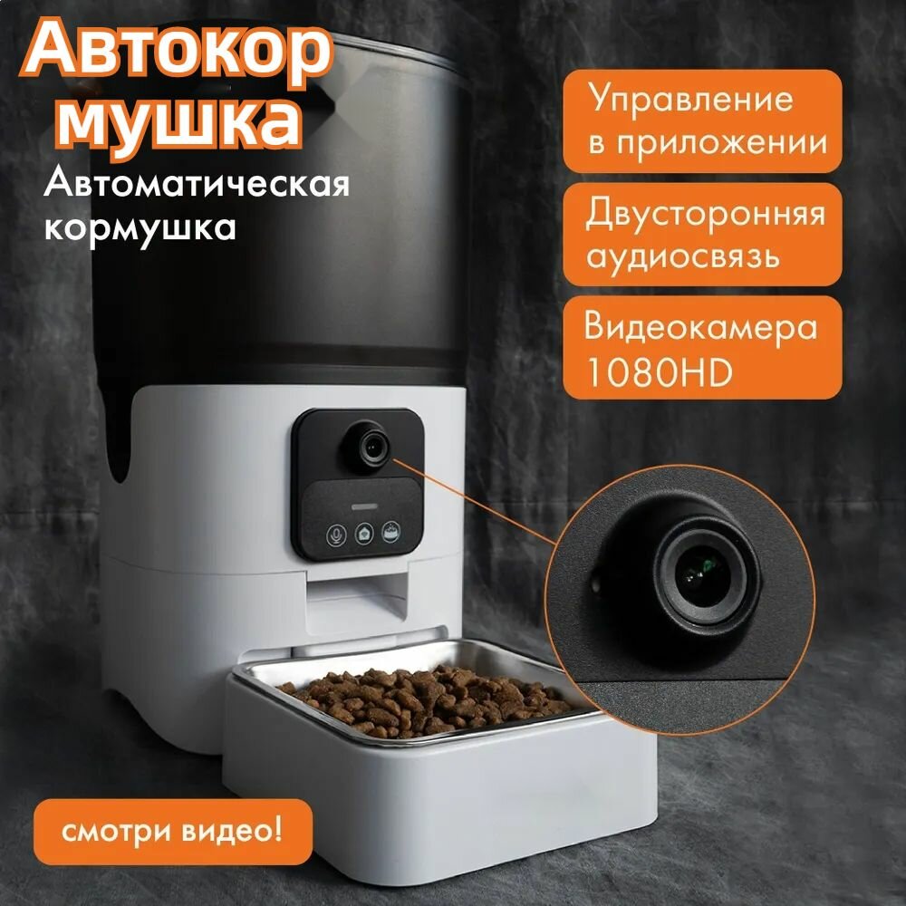 Автокормушка