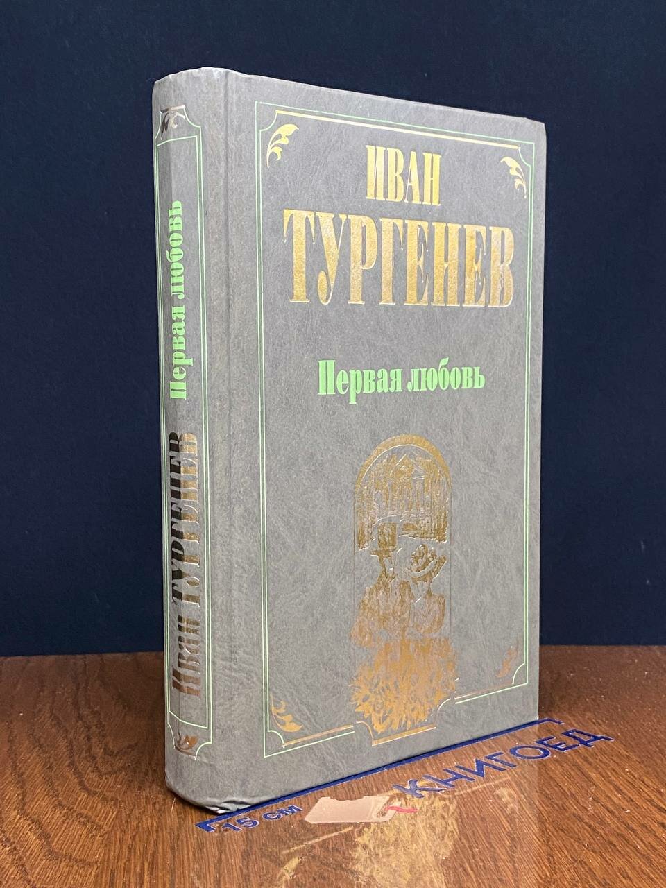 Книга. Первая любовь 1999 (2041834558914)