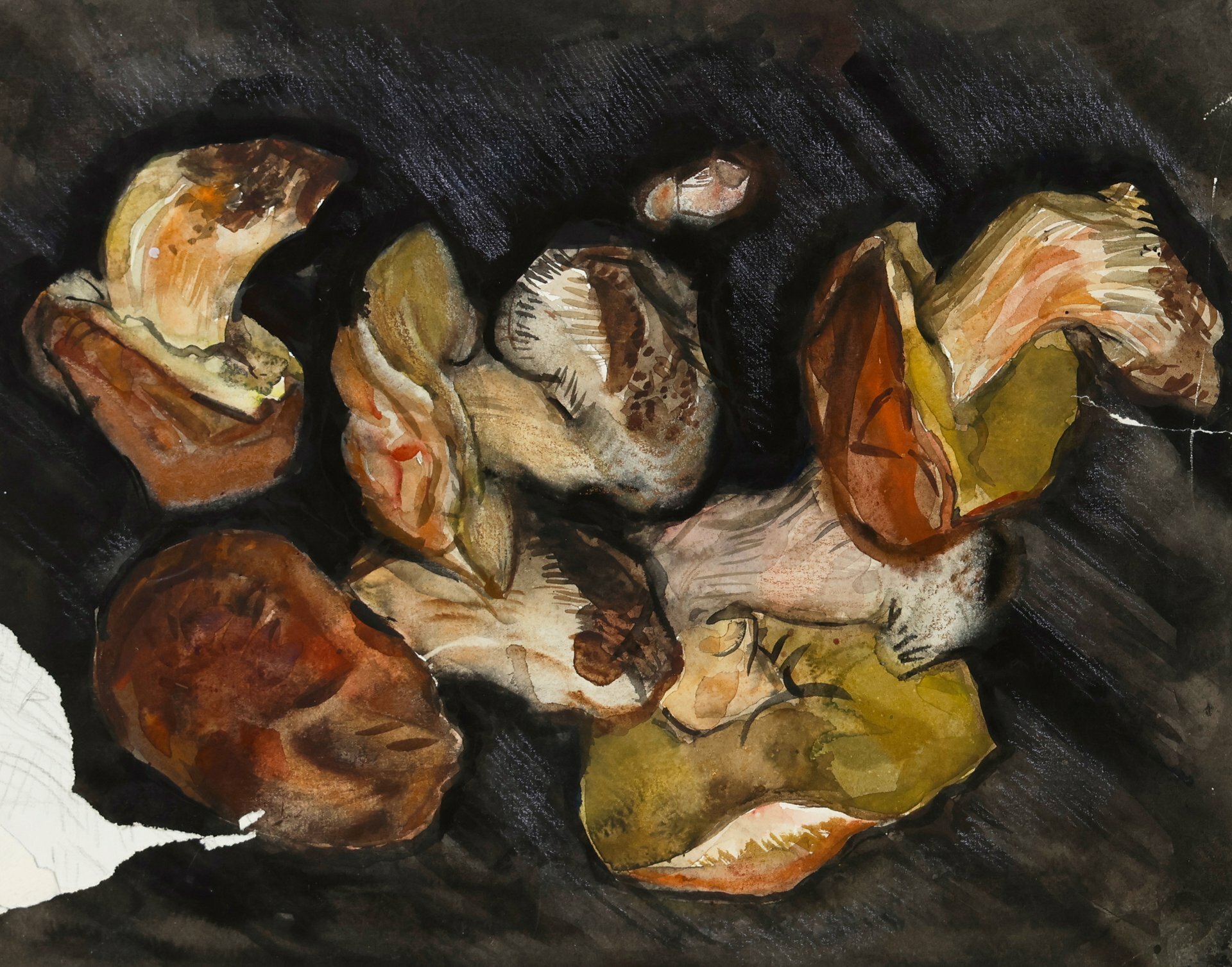 Грибы, Валентина Петрова, Реализм, Бумага, Акварель