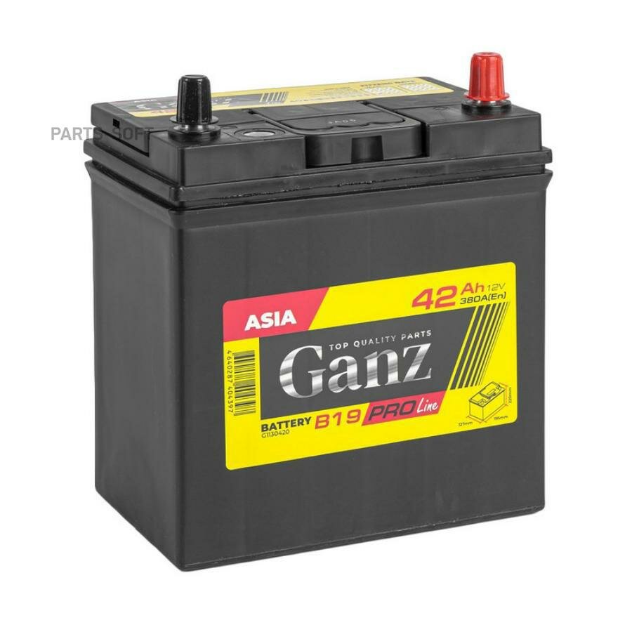 Аккумулятор ganz pro-line jis 42 а/ч обратный r+ 195x127x220 b19 en 380 а