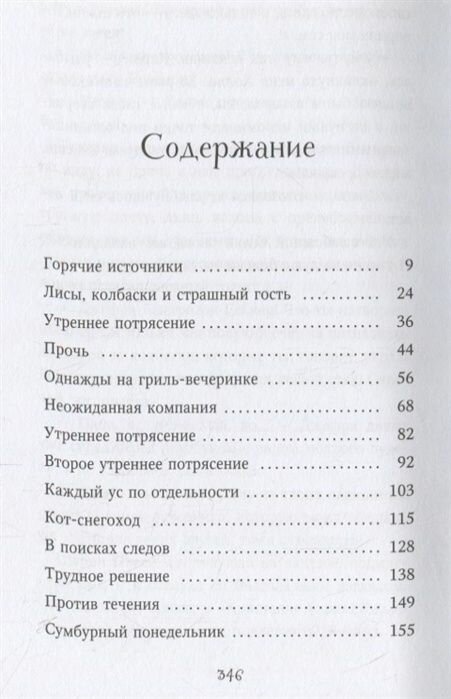Книга ЭКСМО Дети Леса, Брандис К, книга 3, Тайна Холли