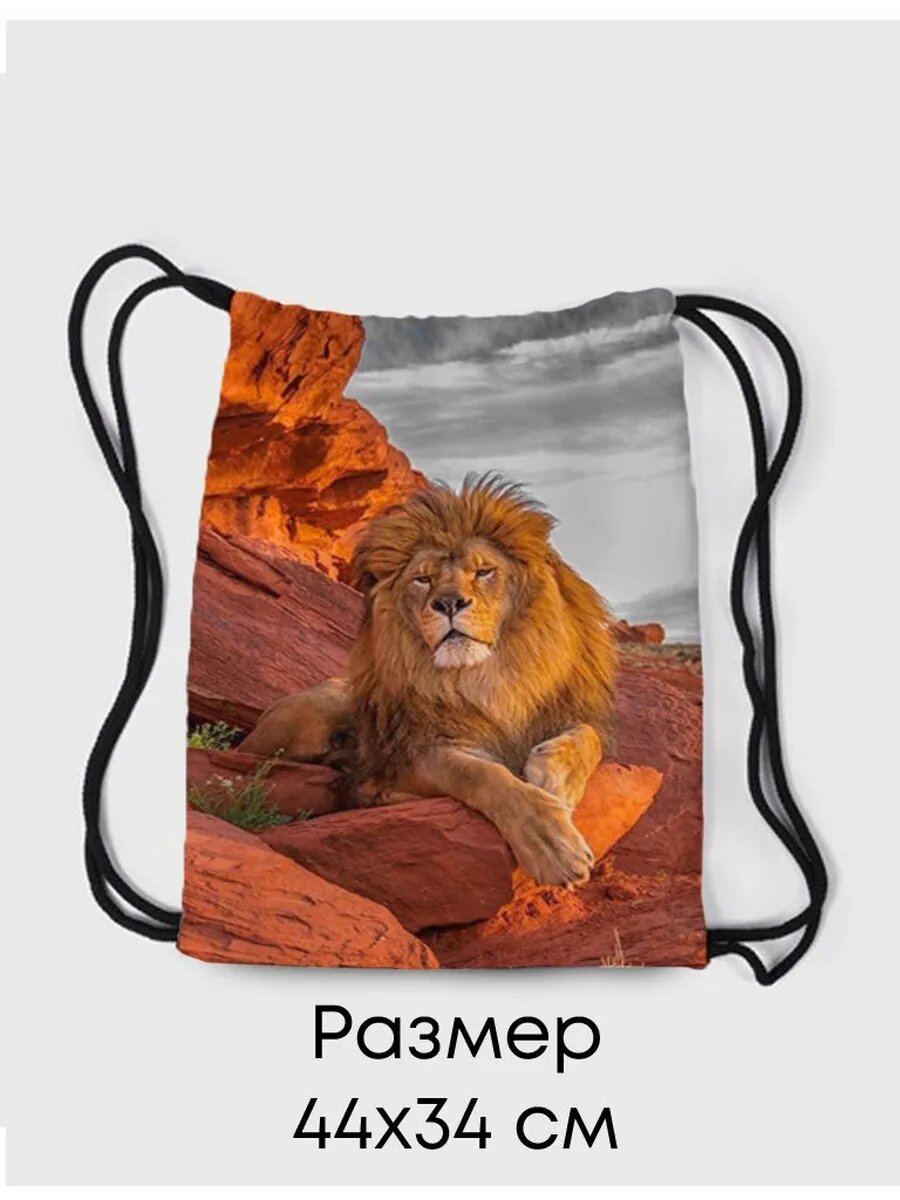 Мешок - сумка для обуви - Лев — фото 1