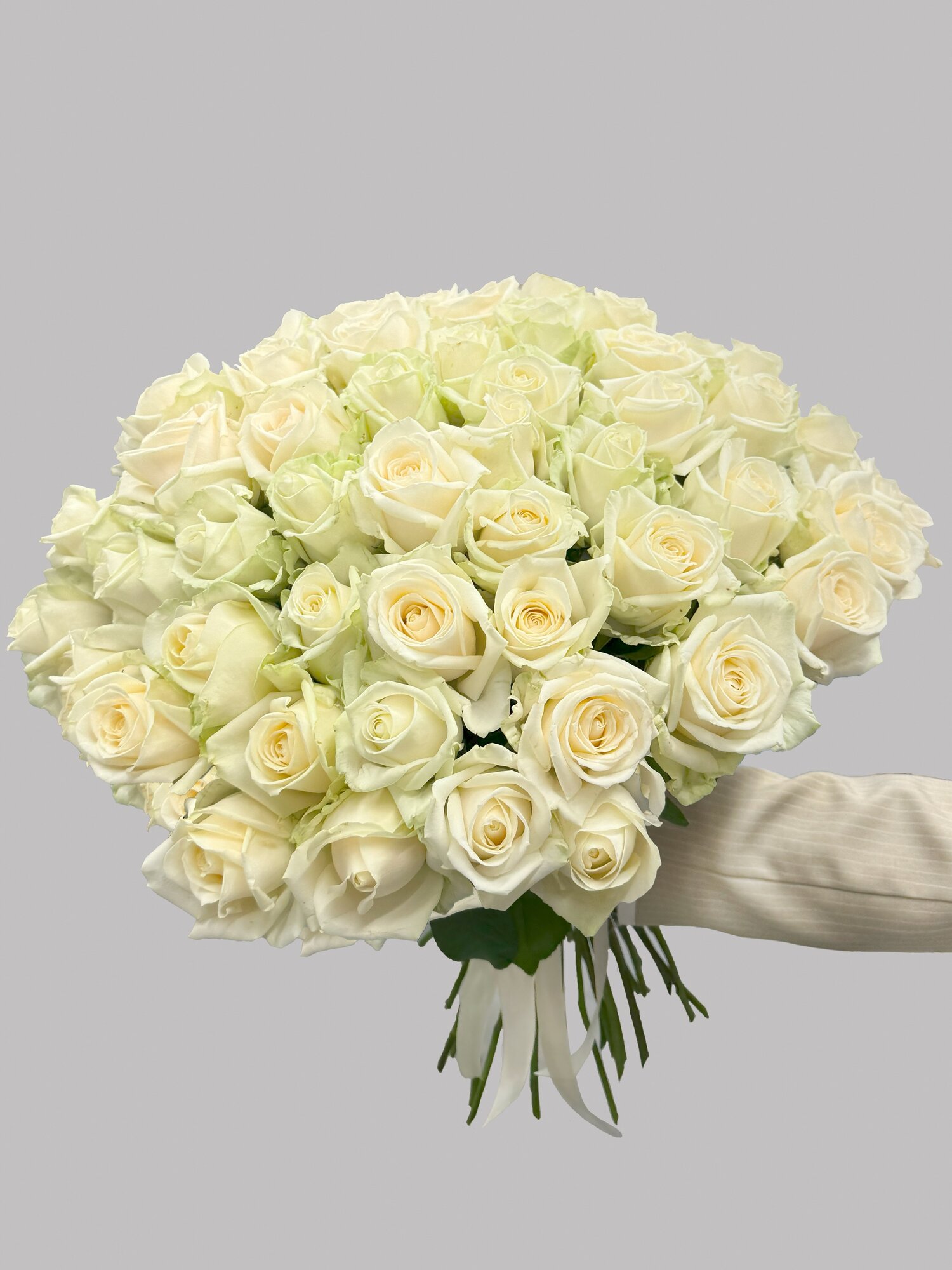 Букет живых цветов, кремово-белые розы 51 шт. 40 см. "Аваланж", флау стор