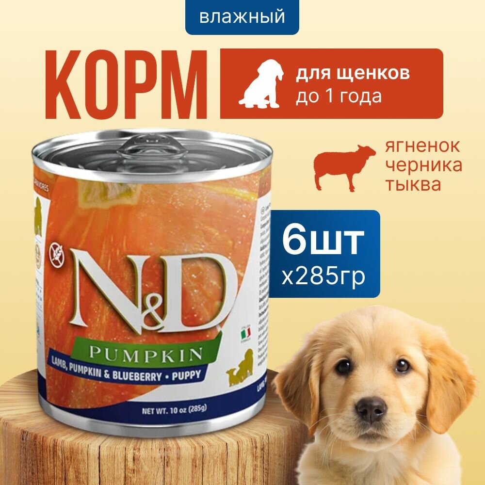 N&D PUMPKIN Влажный корм (консервы) для щенков, с ягненком, тыквой и черникой, 285 гр. * 6 шт.