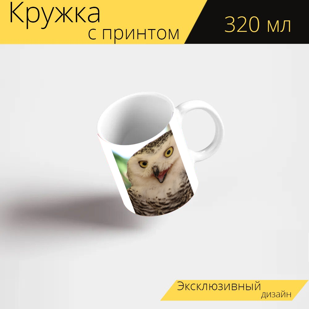Кружка с рисунком, принтом "Снежная сова, сова, мужчина сова" 320 мл.