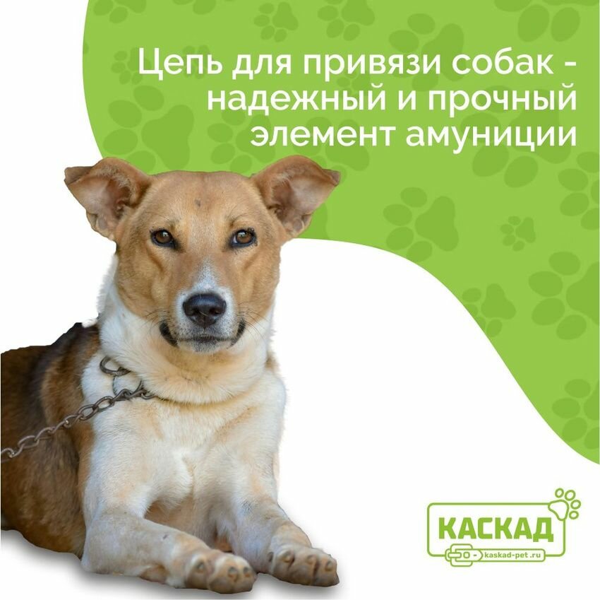 Цепь для собак привязочная Каскад, длина 3 м, толщина 6 мм, с карабином