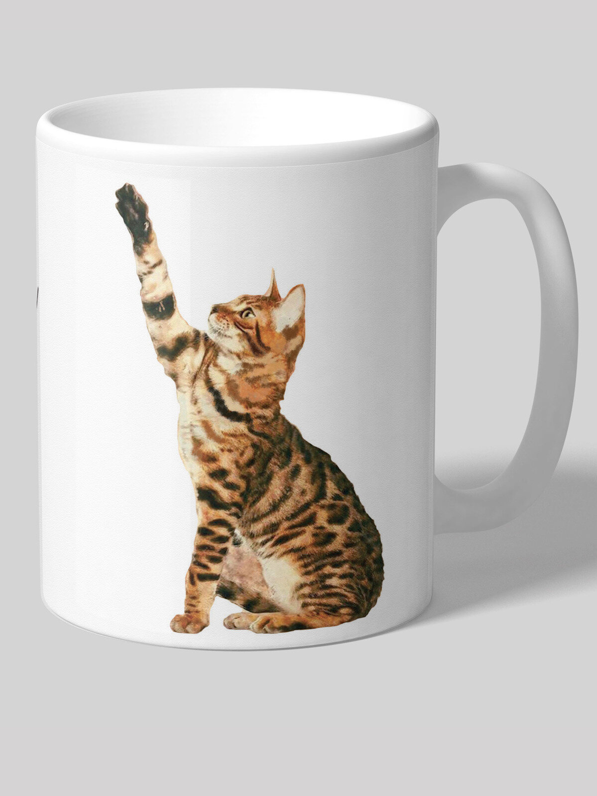 Кружка cooperative.moscow " Лучший друг бенгальская кошка" (бенгал, кружка с бегальской кошкой, бенгалец, кошатник, кошколюб, кошка, кот, подарок с любовью, друг человека, кружка с собакой) , 330 мл, 1 шт