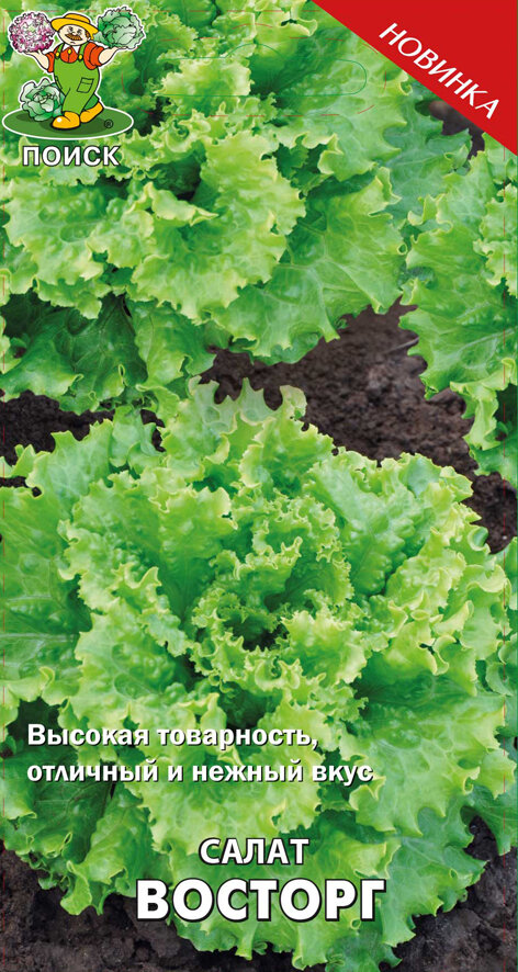 Семена салата Поиск "Восторг", среднеспелые, однолетние, 1 гр.