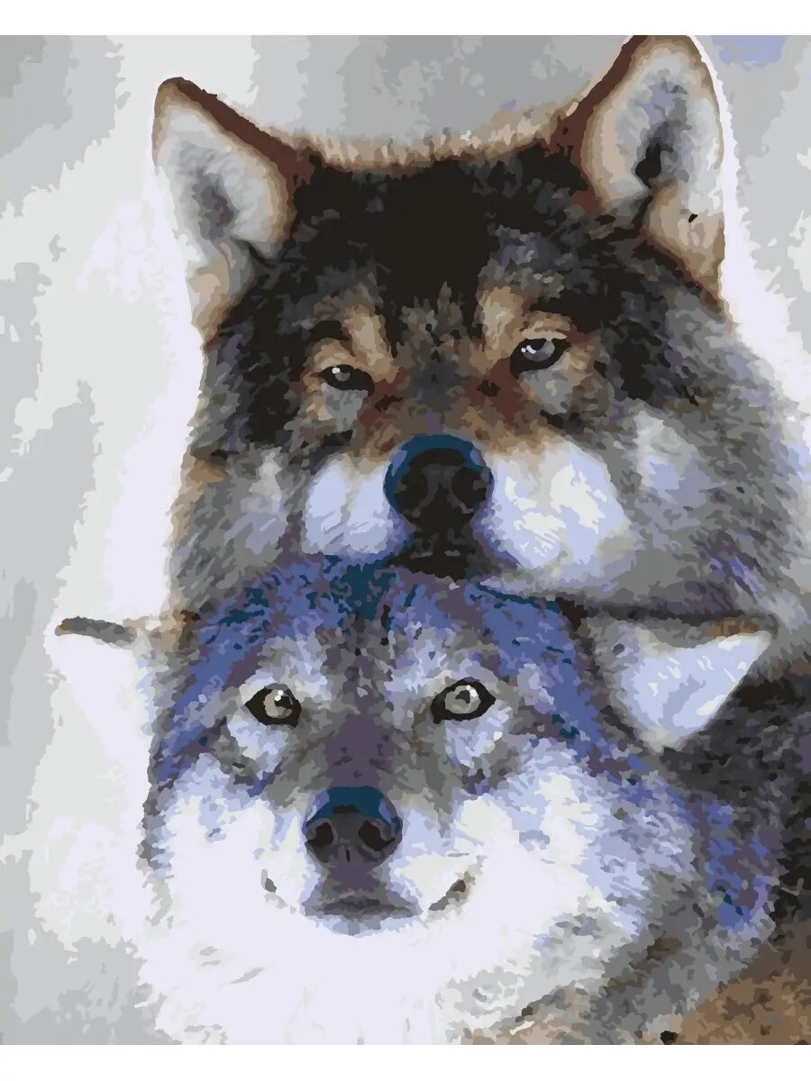 Картина по номерам Волки 40х50 см