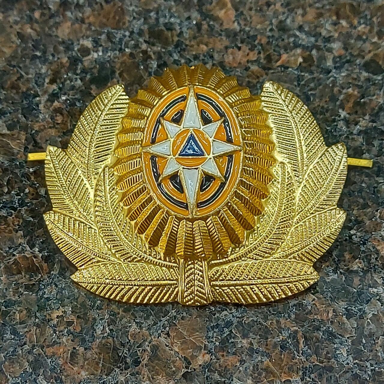 Кокарда МЧС россии в обрамлении