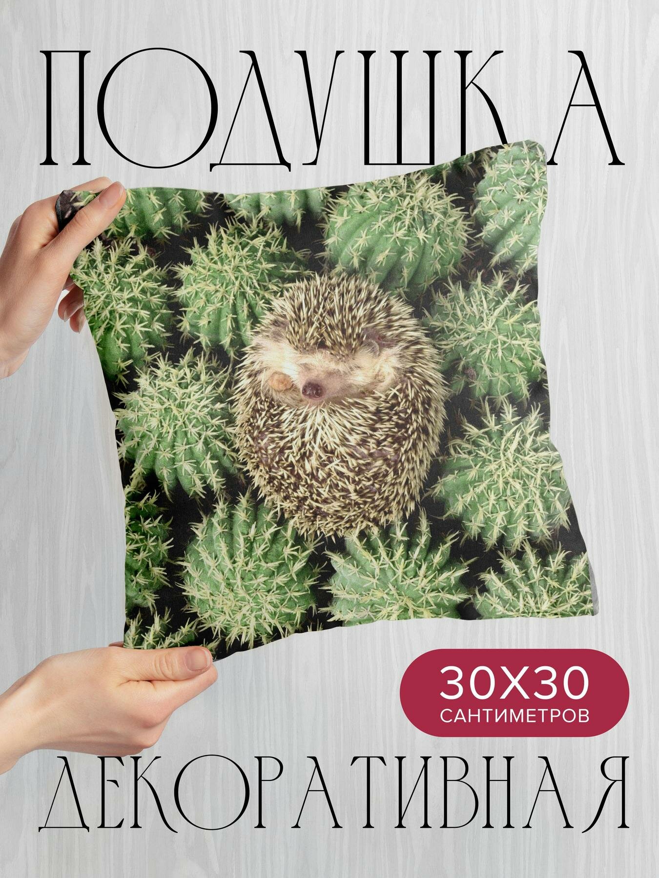 Подушка декоративная, 30x30см / Животные / еж / кактус