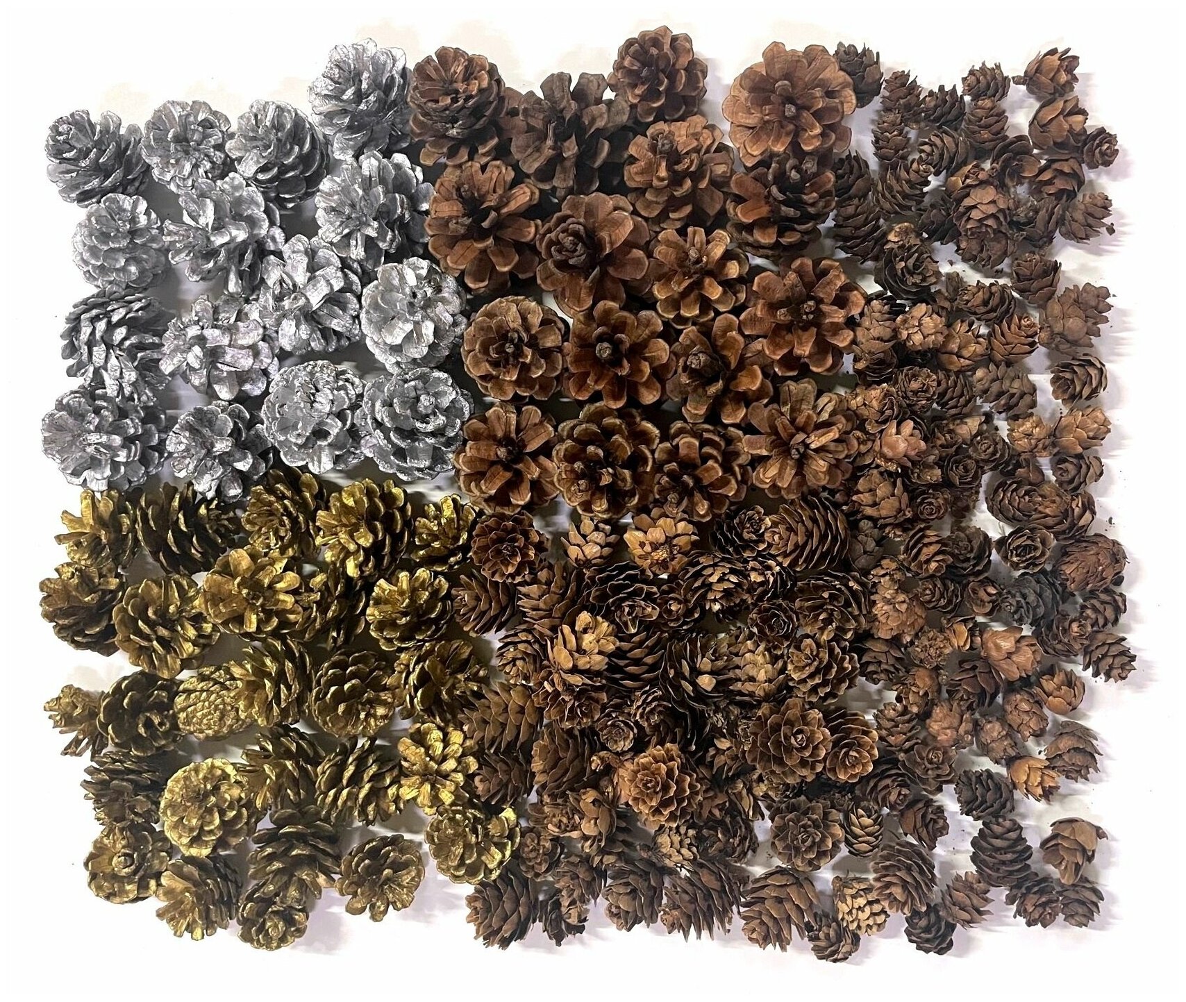 Набор для творчества 2GS "Шишки натуральные", SOVUSHKA, 210-220шт.