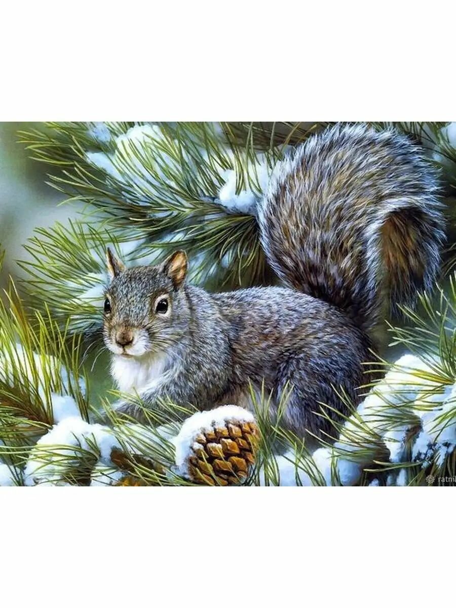 Алмазная мозаика на подрамнике 40х50 полная выкладка круглые стразы. Творчество для взрослых и детей