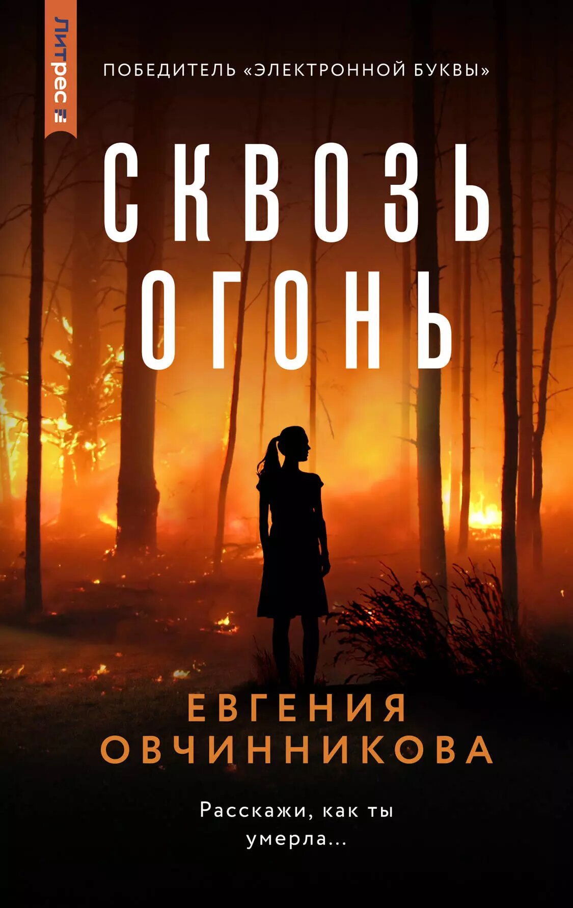 Сквозь огонь (Евгения Овчинникова)