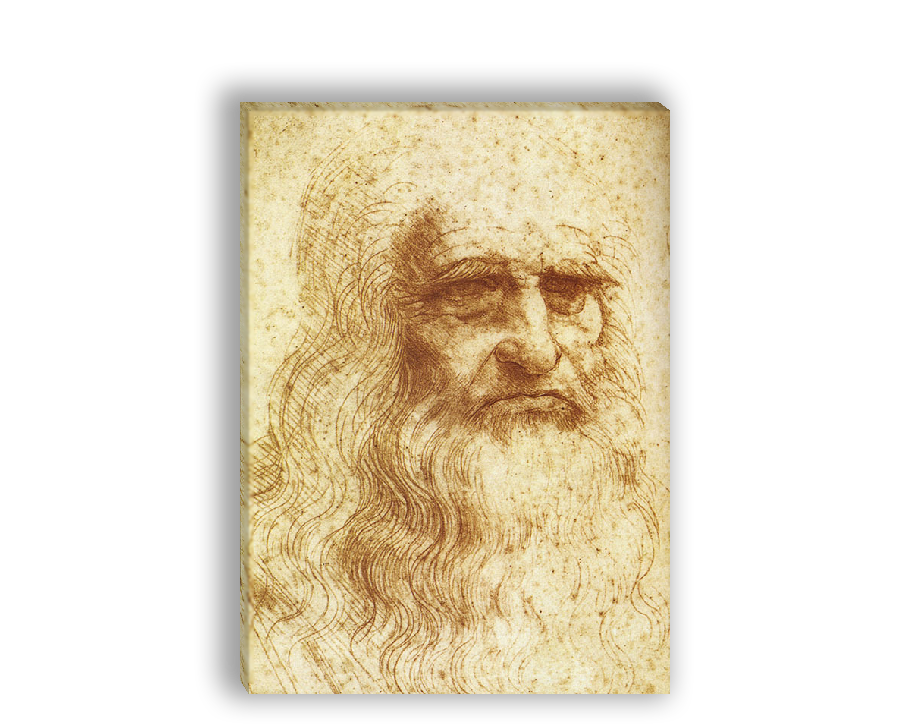 "Туринский автопортрет", Леонардо да Винчи, картина (репродукция) (30х41 см / на подрамнике)