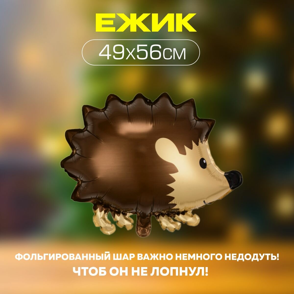Воздушный шар — фото 1