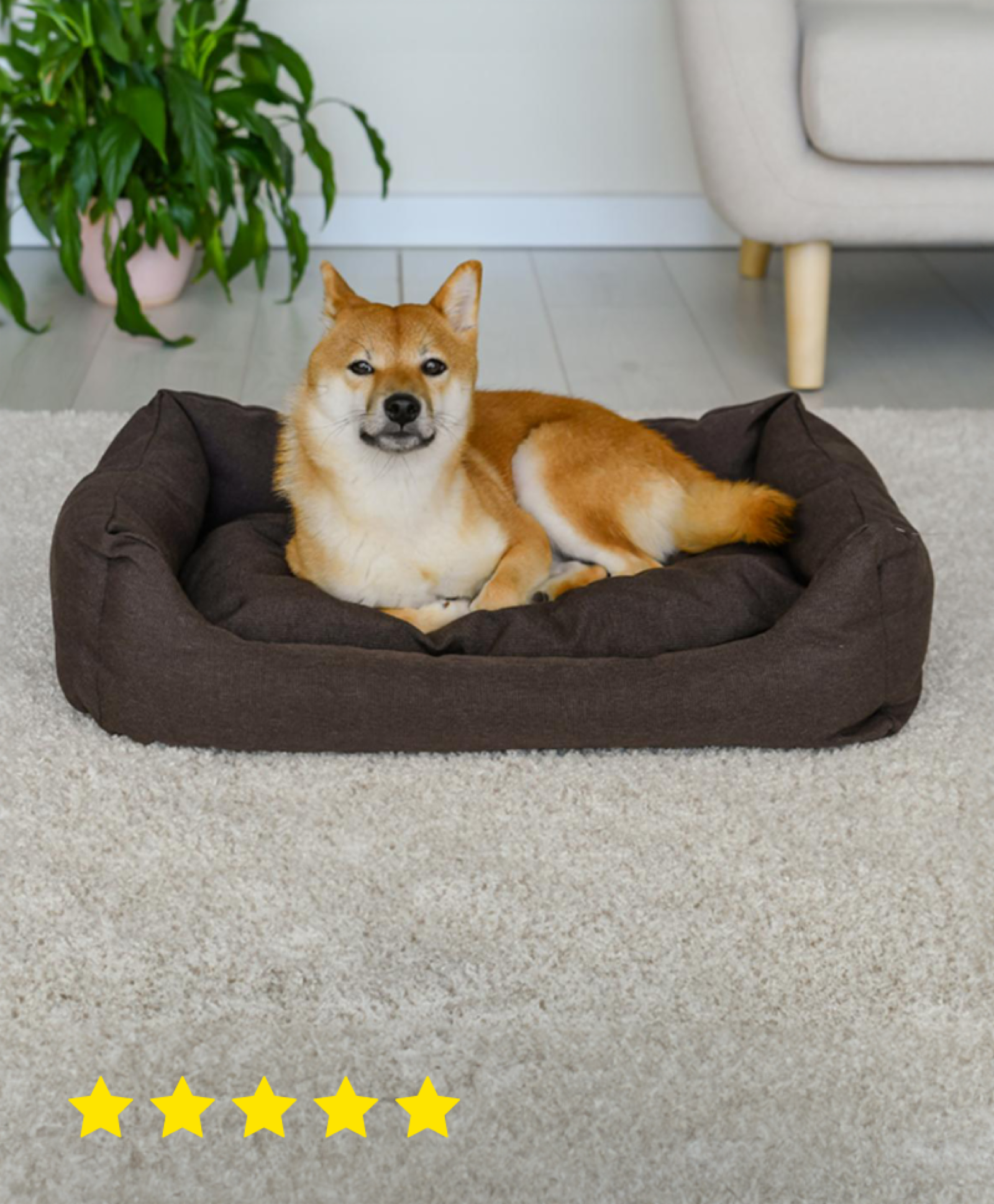 "Ротонд" прямоугольный лежак с подушкой, шоколад