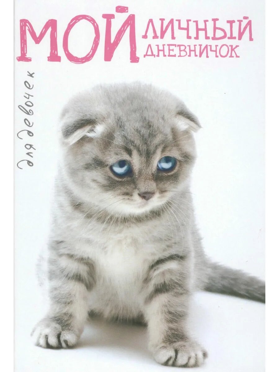 Сидячий грустный вислоух Дневничок